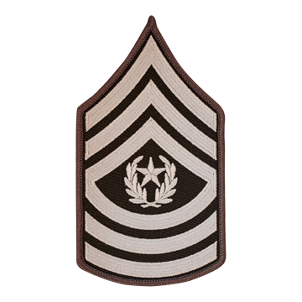 Patch - Chevron Army Dress - AGSU Rank (Pair) – Hahn's World of Surplus ...