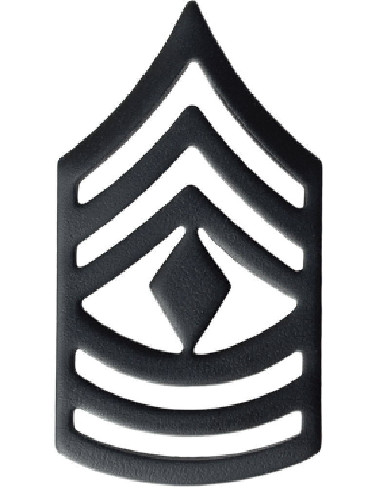 Rank - U.S. Army - Enlisted Subdued Metal Insignias – Hahn's World of ...