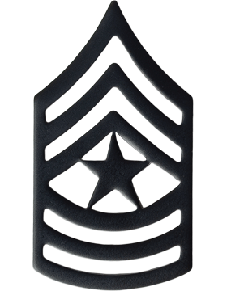 Rank - U.S. Army - Enlisted Subdued Metal Insignias – Hahn's World of ...